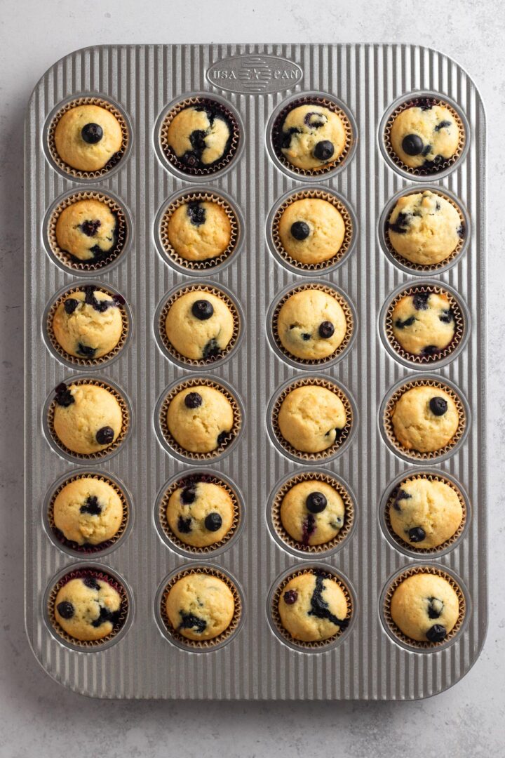 Mini Blueberry Muffins - Always Eat Dessert