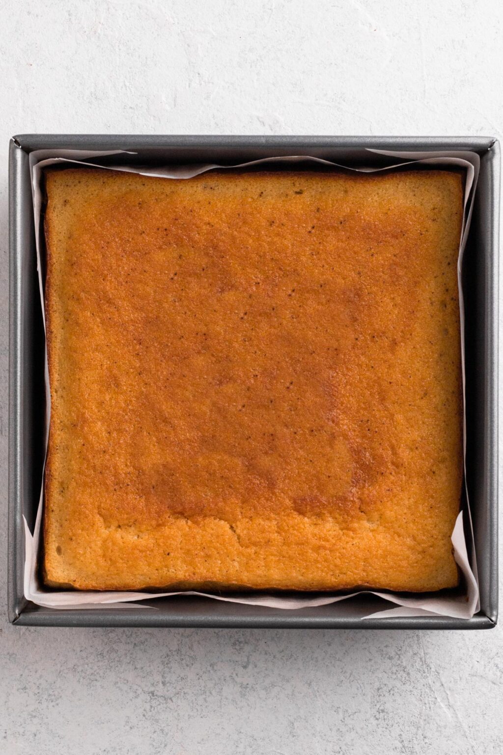 Robin Egg Snack Cake with Speckled Frosting - Always Eat Dessert