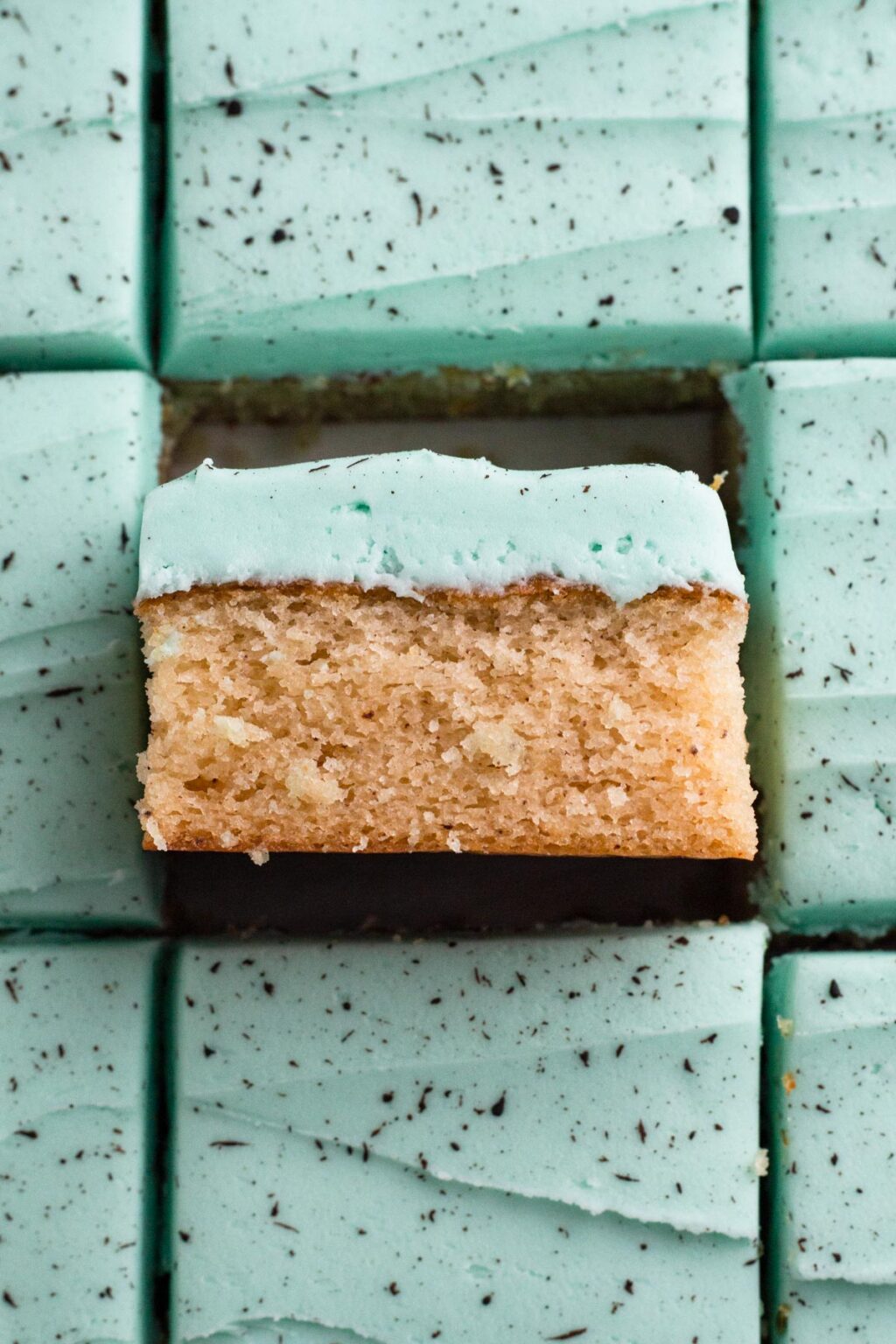 Robin Egg Snack Cake with Speckled Frosting - Always Eat Dessert