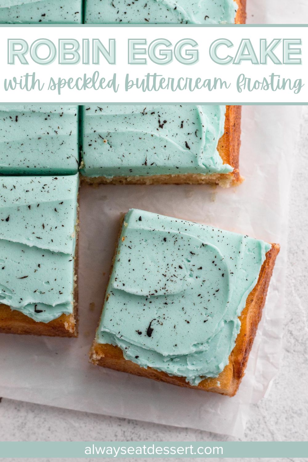 Robin Egg Snack Cake with Speckled Frosting - Always Eat Dessert