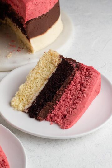 Neapolitan Cake - Always Eat Dessert