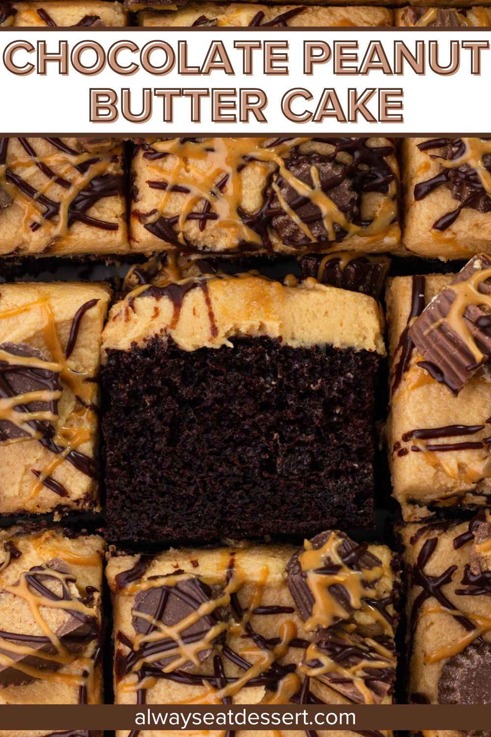 Chocolate Peanut Butter Cake - Always Eat Dessert